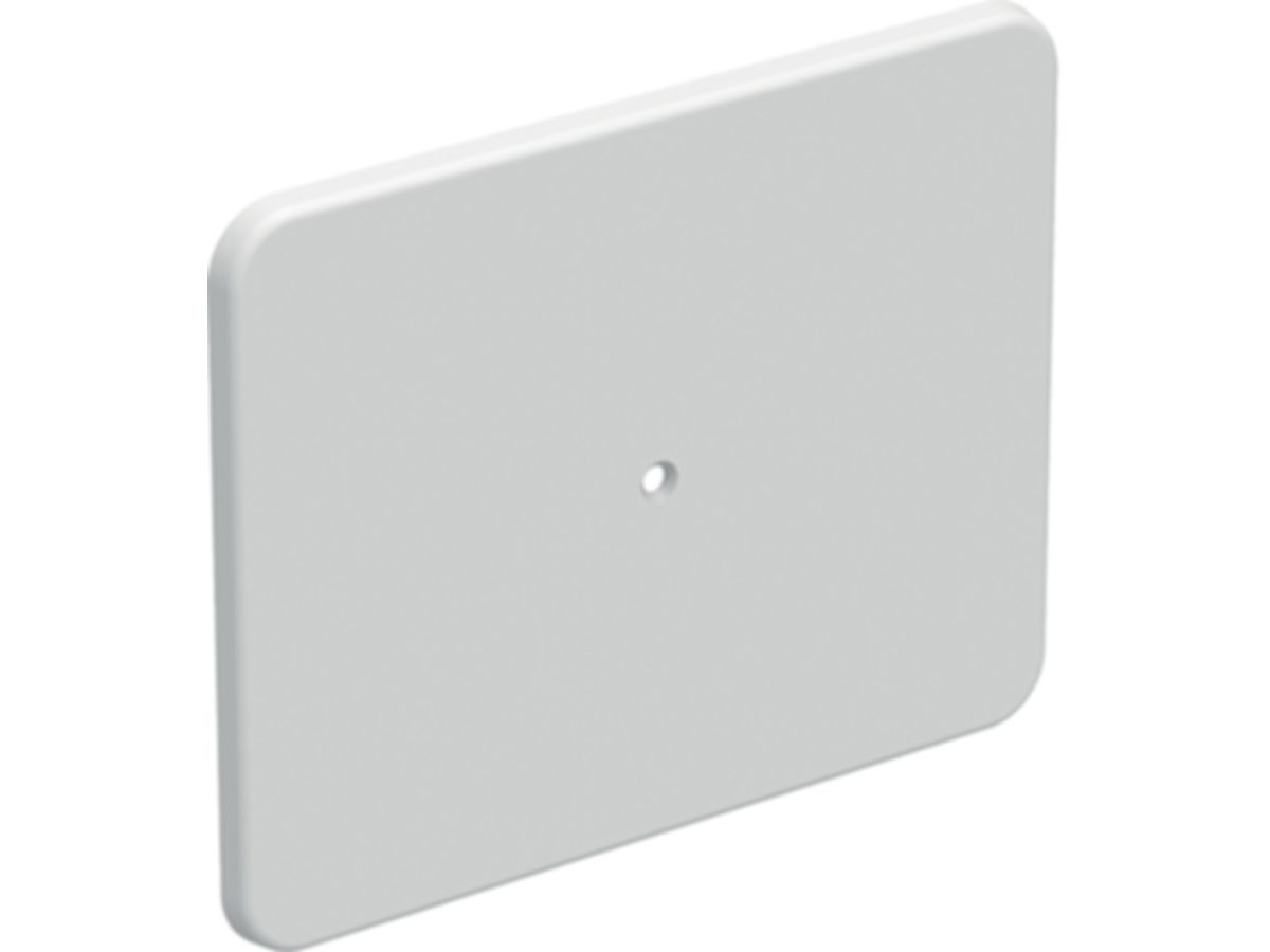 Abdeckplatten GEBERIT - Schwarz Stahl AG, Lenzburg