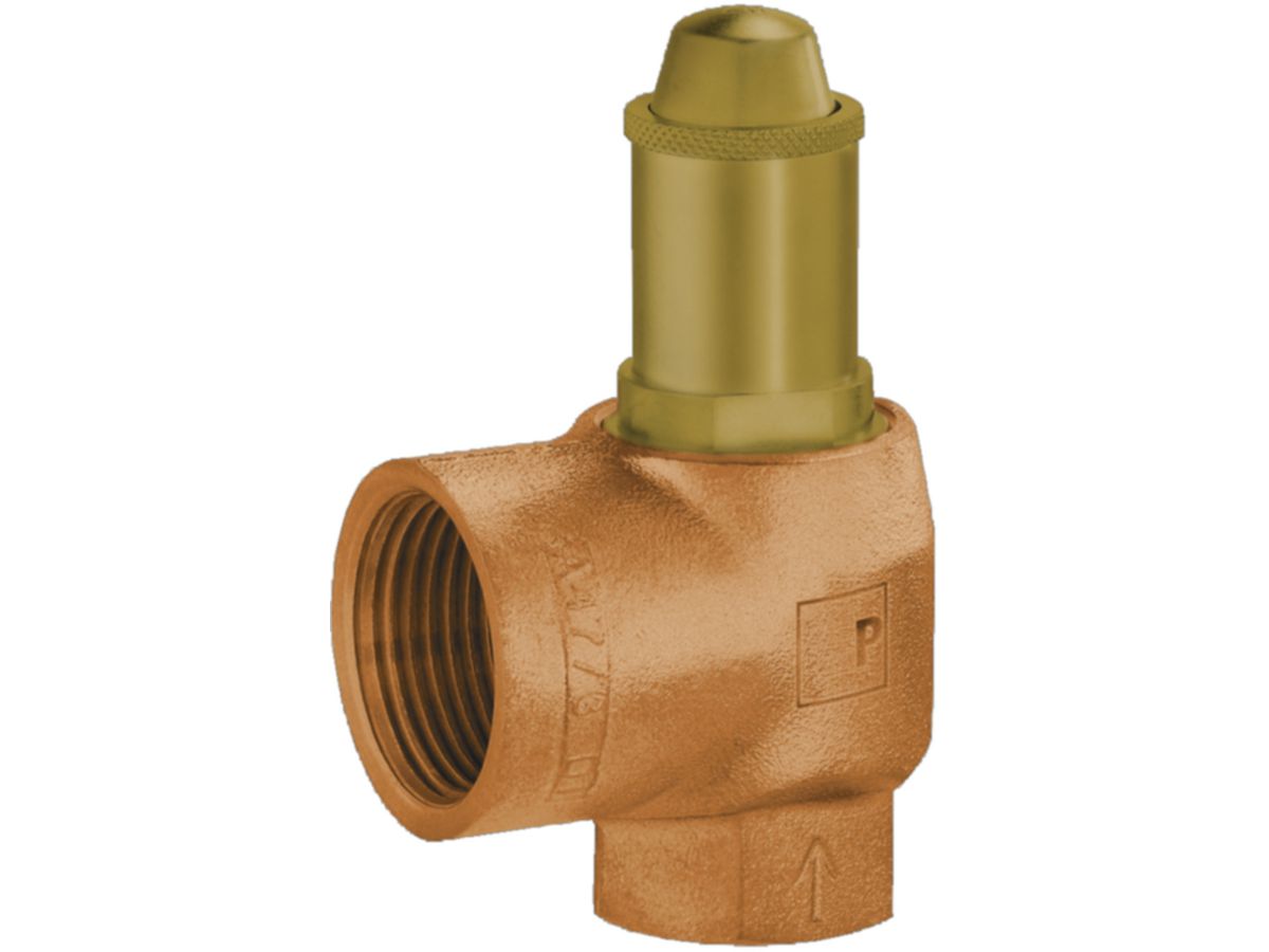 Sicherheitsventile IMI DSV-H - Schwarz Stahl AG, Lenzburg